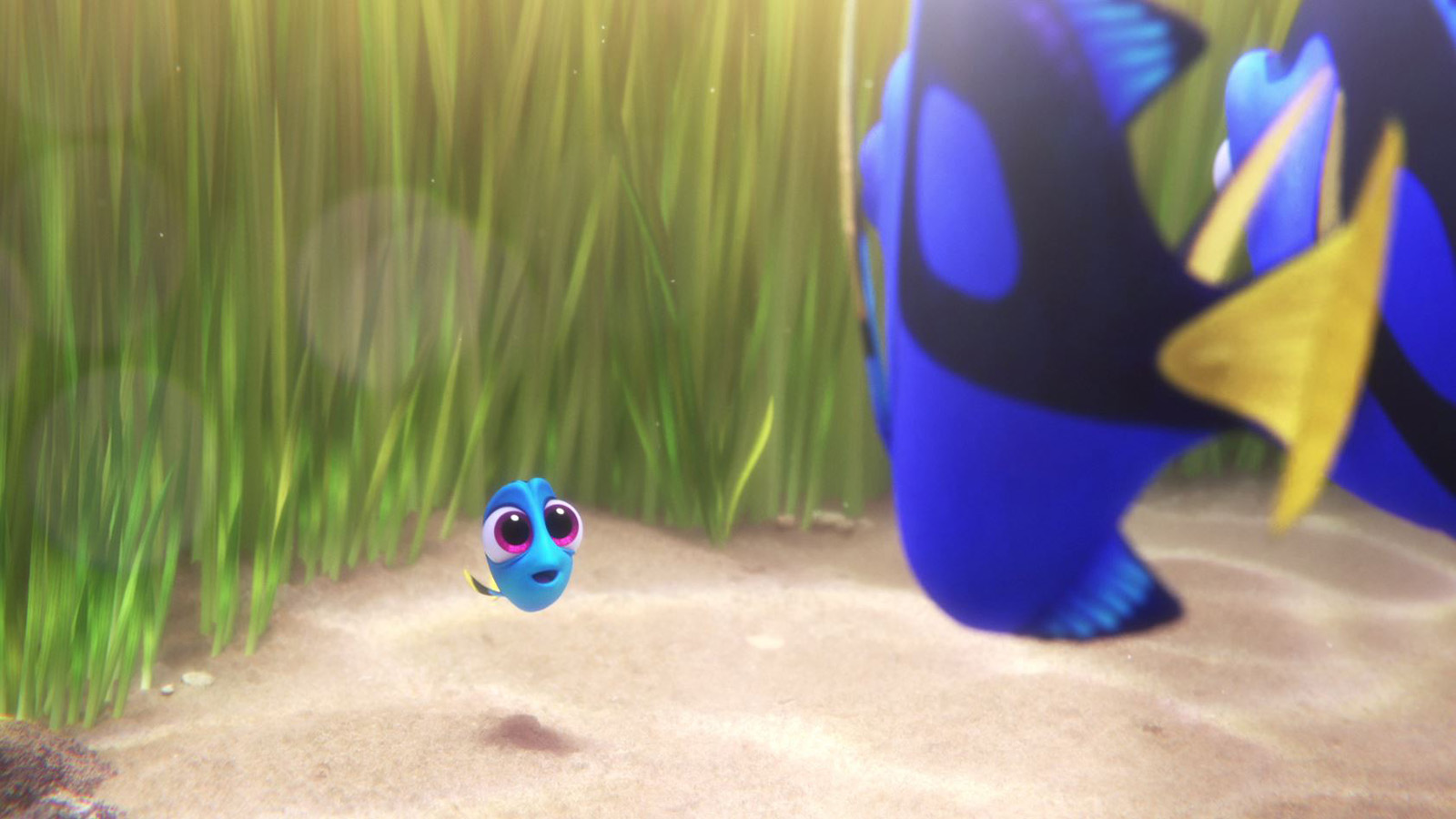 Finding Dory (2016) Film - Official Disney Pixar UK Site